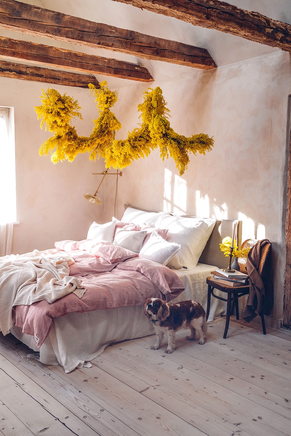 Breakfast in Bed with gluten-free Blueberry Pancakes - Our Food Stories