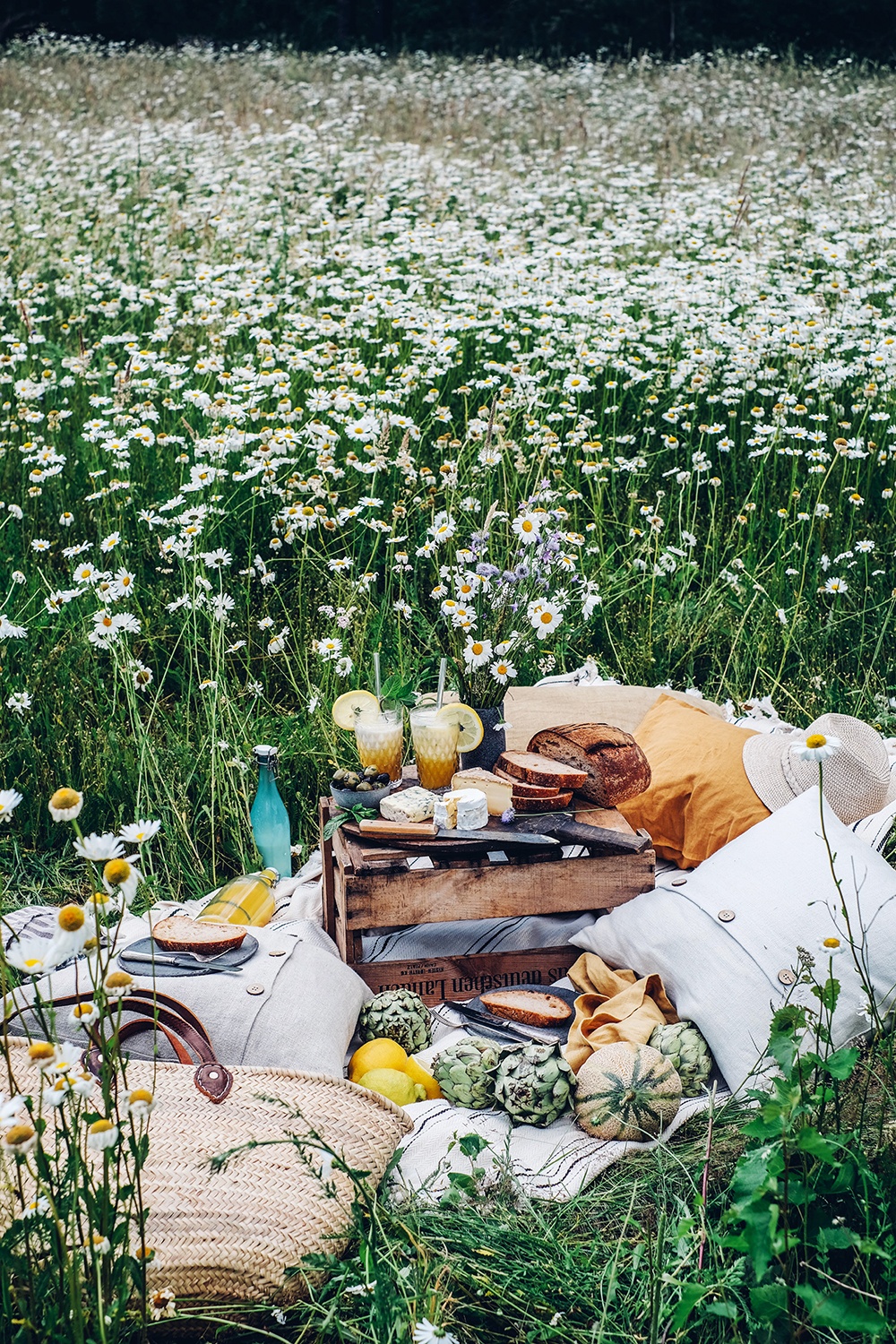 Enjoying a Picnic with a refreshing and easy to make Mango-Pineapple ...