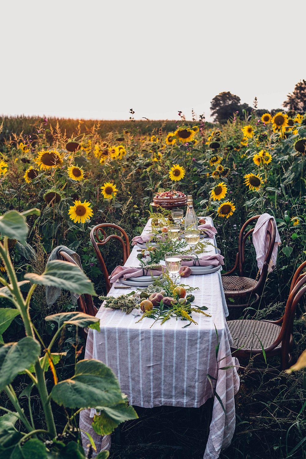 Summer Gathering in a Field of Sunflowers - Our Food Stories