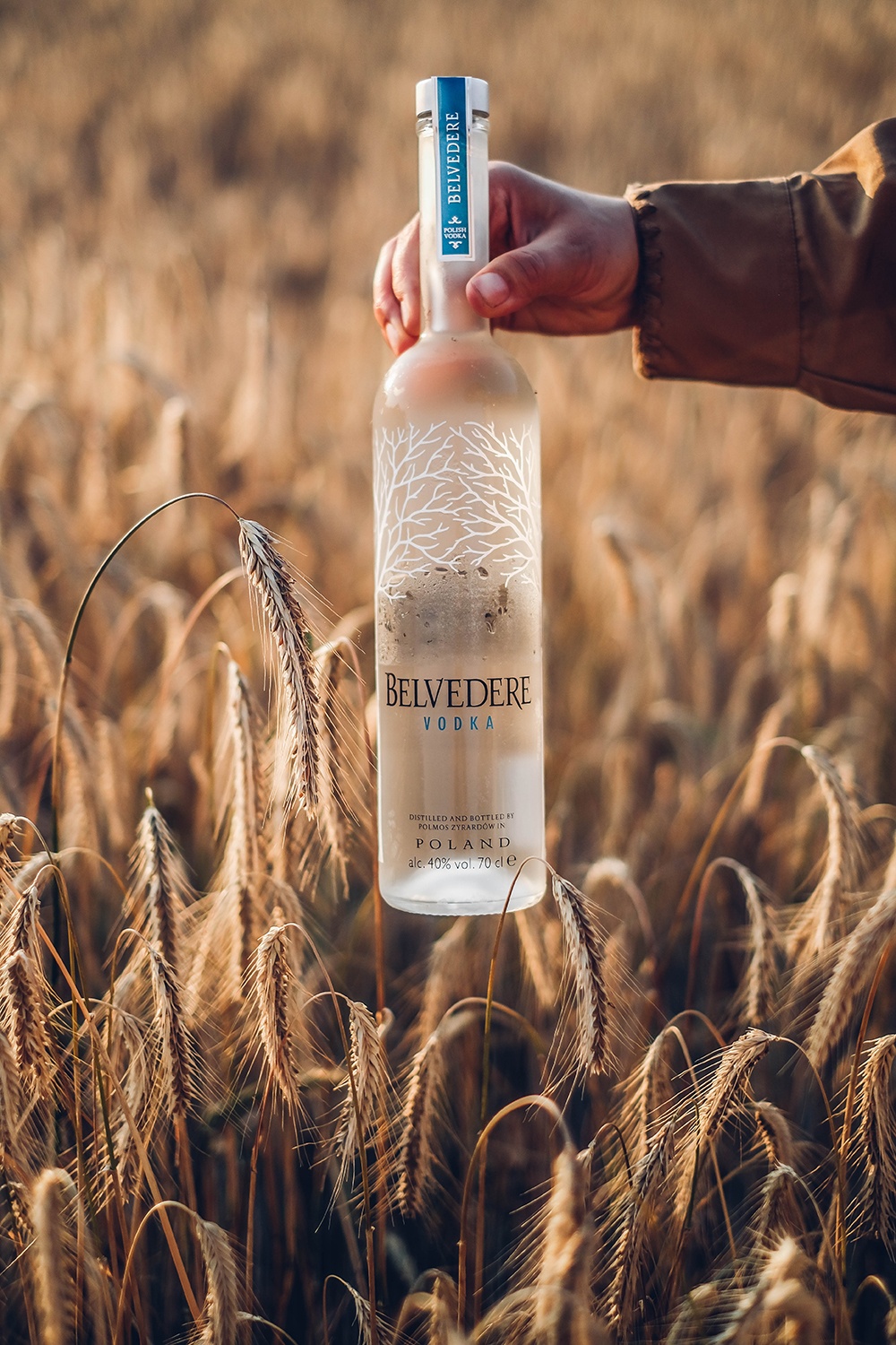 Chicory Summer Salad with Green Pepper & Old Town Fizz Cocktail - Our ...