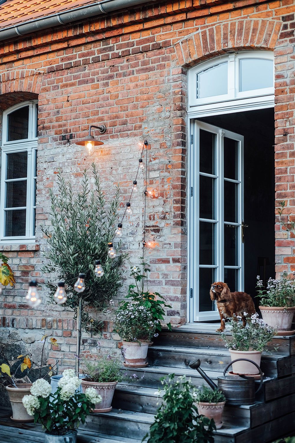Our Terrace during Autumn & New Lamps from Original BTC - Our Food Stories