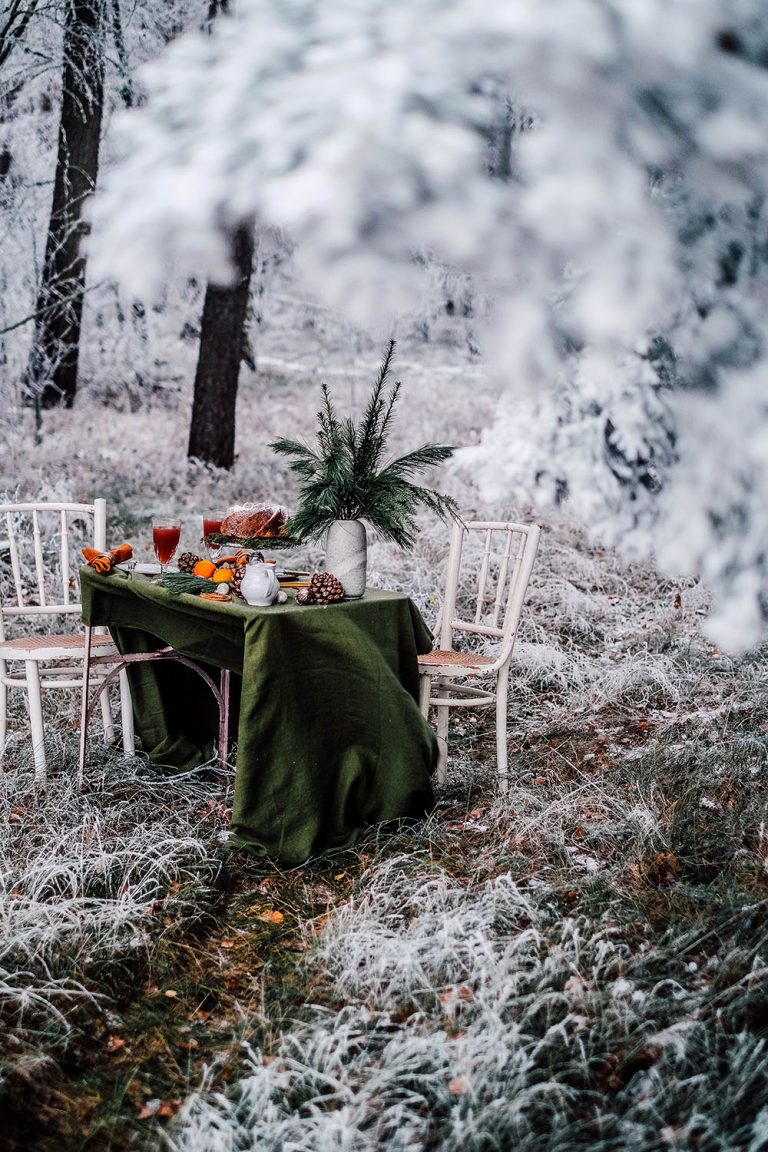 A snowy Picnic in the Woods - Our Food Stories