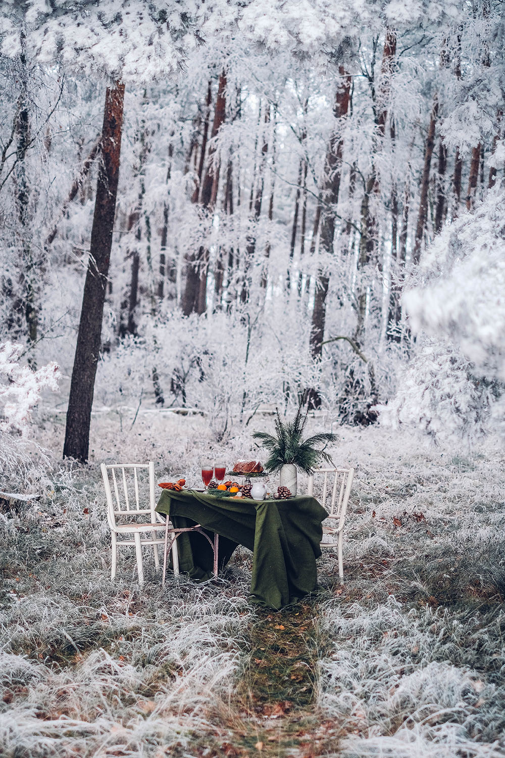 A snowy Picnic in the Woods - Our Food Stories
