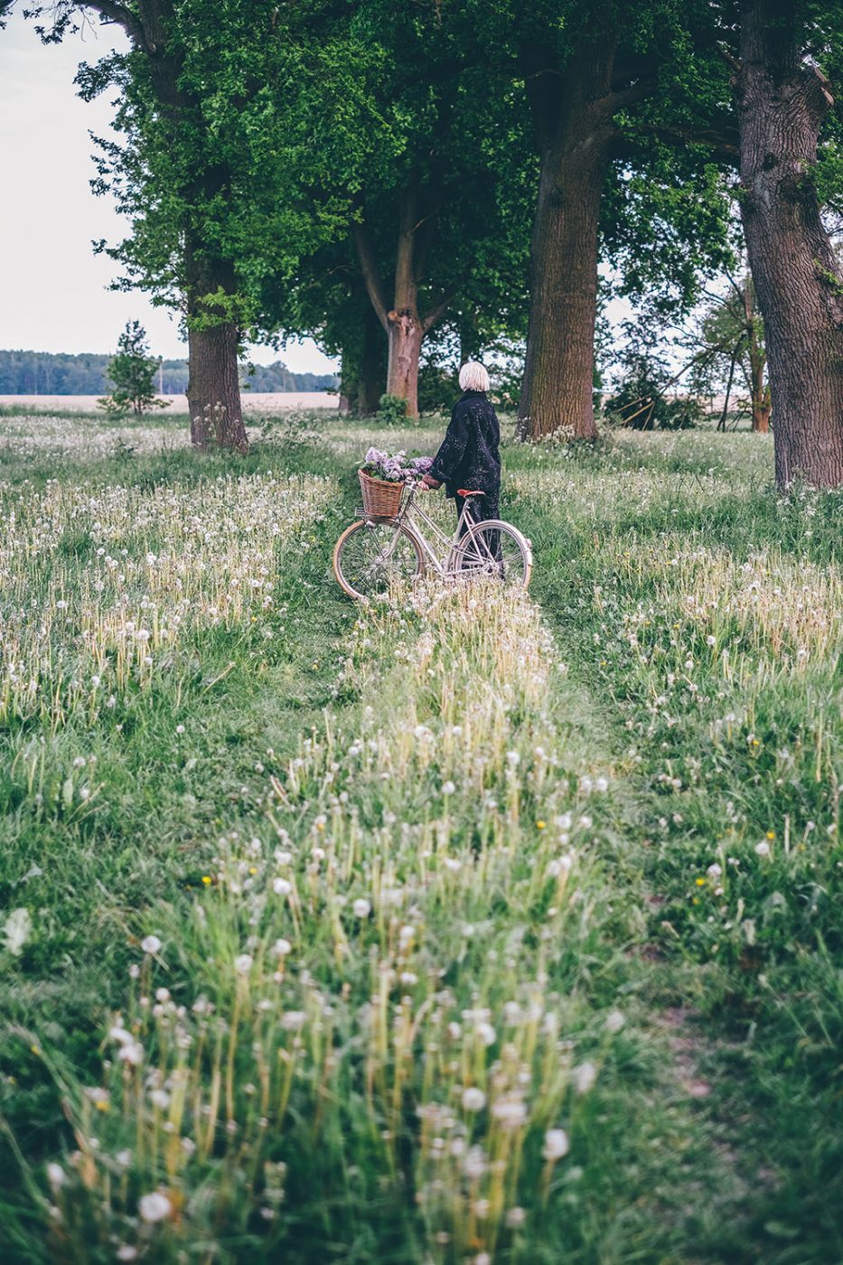 A Spring Walk - Our Food Stories
