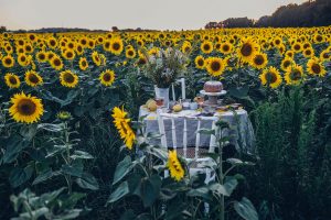 A Dreamy Table Setting in a Field of Sunflowers - Our Food Stories